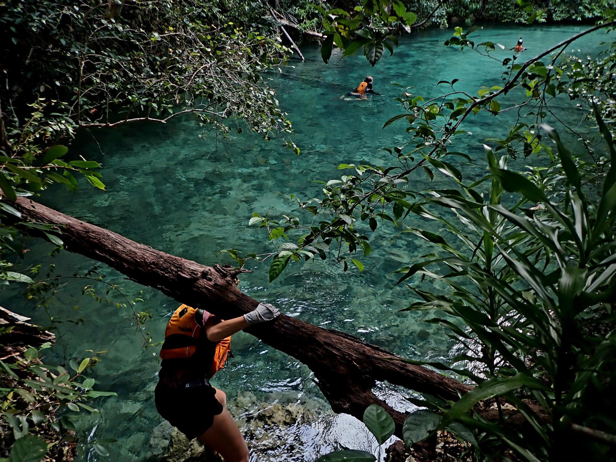 The Secret Life of Marine Lakes - Millekul Adventures